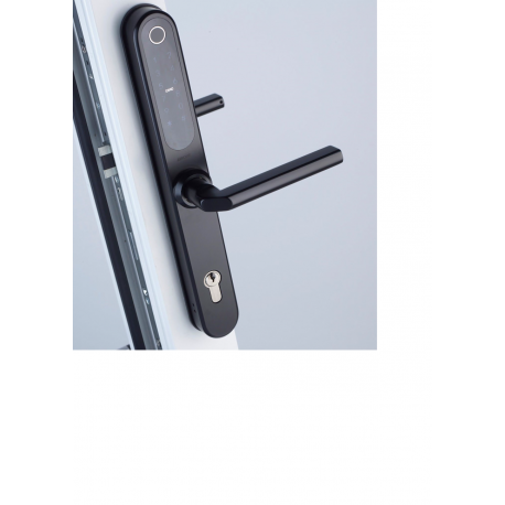 ARRONE AR4750 Smart Handle, version inox - PAWI Sàrl